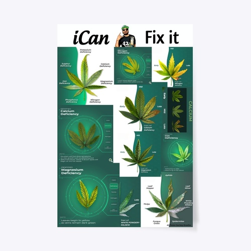 iCanFAM - Homeware
